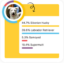 Embark review (2025) : What experts & consumers say