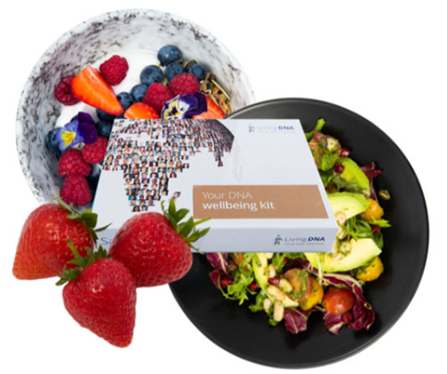 Living DNA review: What the Experts say About Their DNA Kits