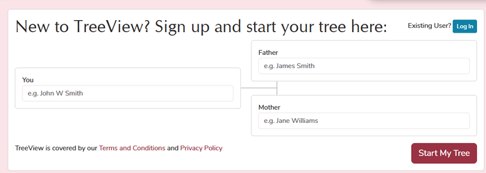 The Genealogist Review : What is this genealogy platform worth?