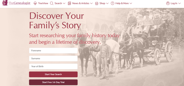 The Genealogist Review : What is this genealogy platform worth?