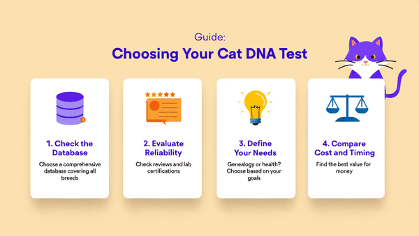 Best Cat DNA Test: Prices & Comparison of Cat Kits (2026)